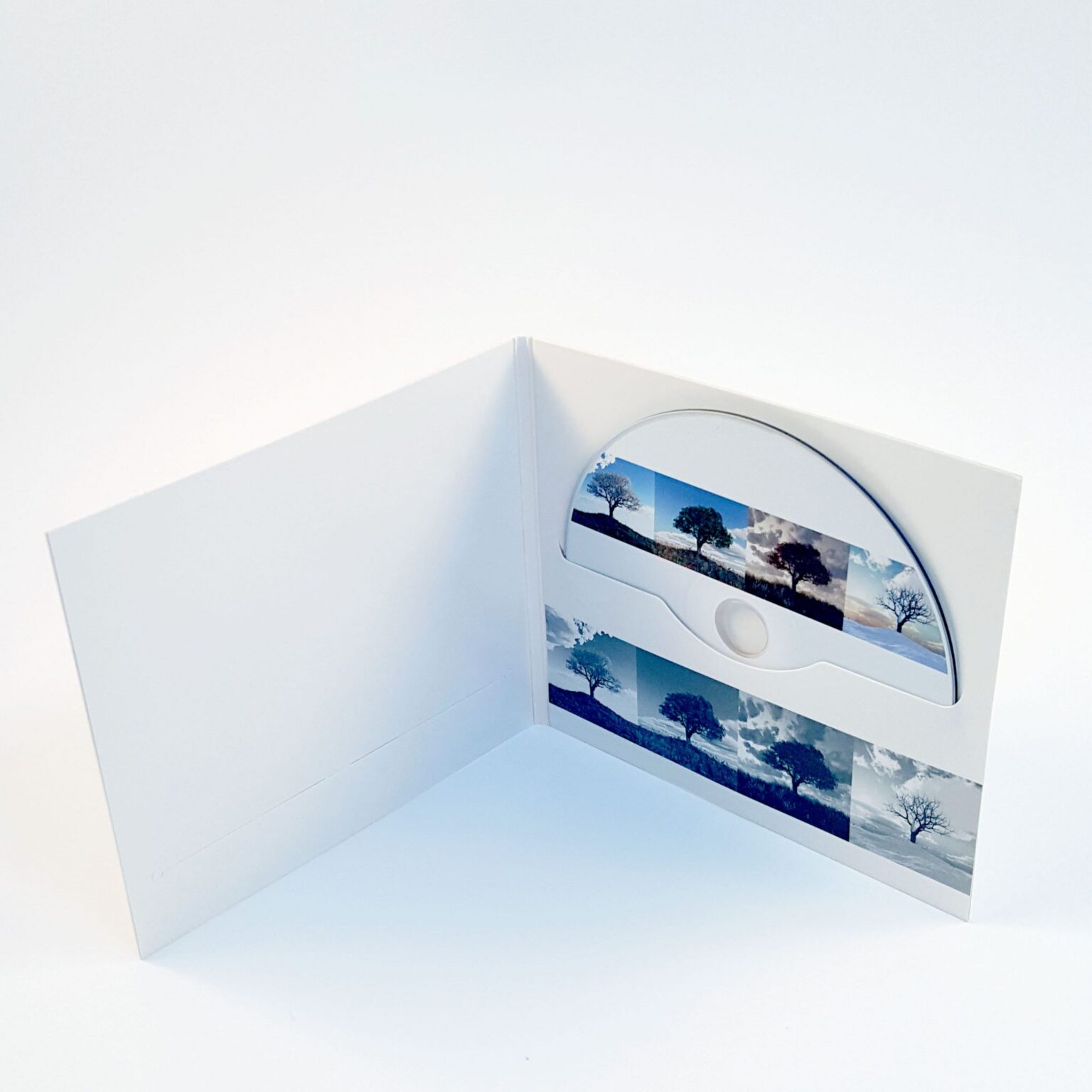 Digipak, Digisleeve, Digifile. What is the difference between them ...